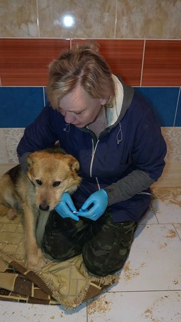 Мишка‑Автомеханик отправляется домой: финал больничных приключений