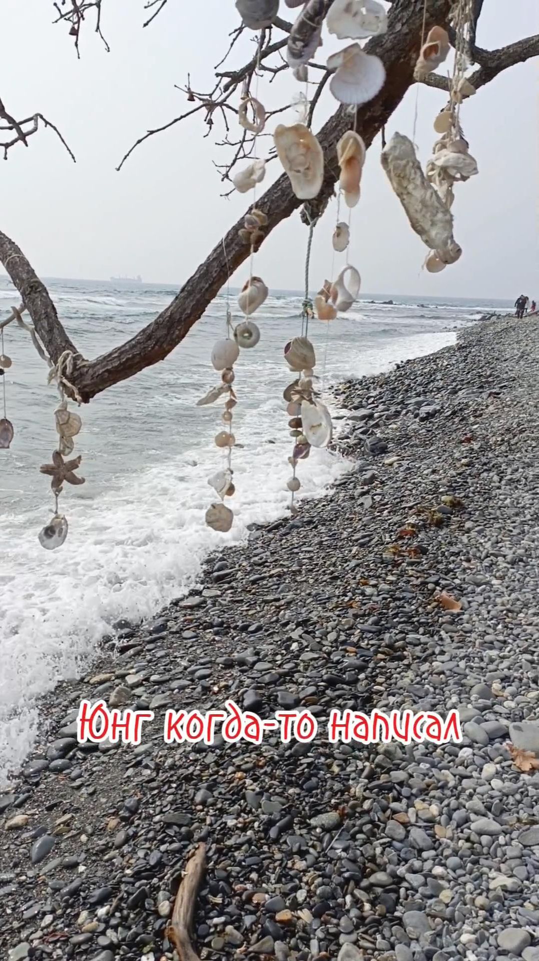 Юнг когда-то написал #психология #юнг