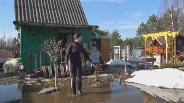 6 соток 1 апреля 2026 года. 1 часть. Пикировала томаты в теплицу. Открыла туи. Обрезалы розы.