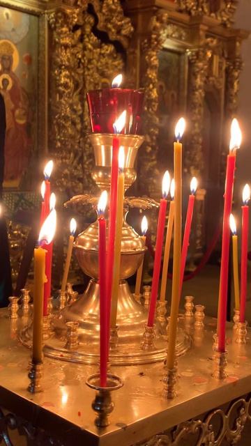 Чтоб мудро жизнь прожить, знать надобно немало, два важных правила запомни для начала:👇