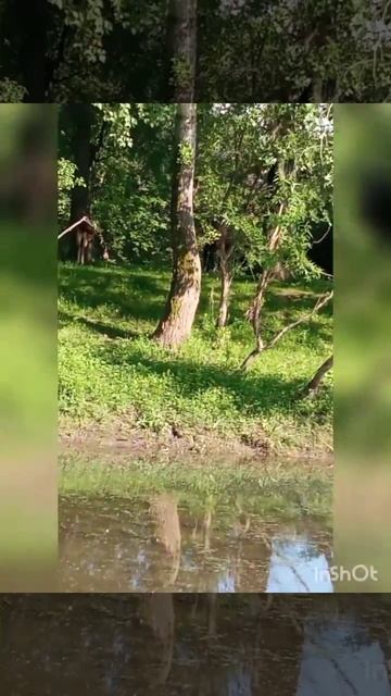 продолжение 5 день сплава с междуреченска в новокузнецк