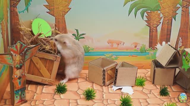 Хомячок разрушает лабиринт, который я построил! 3 часть