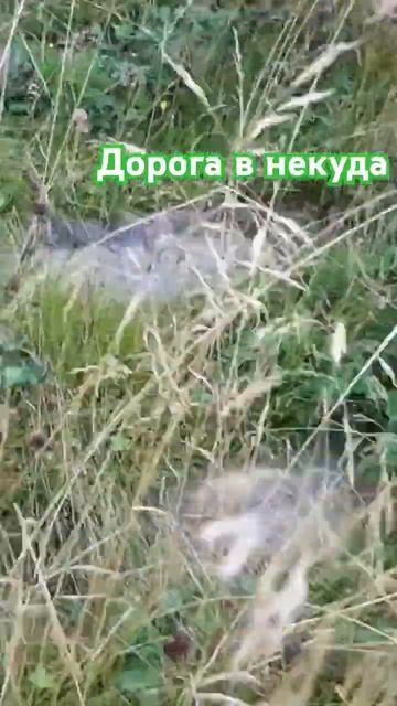 Из истории