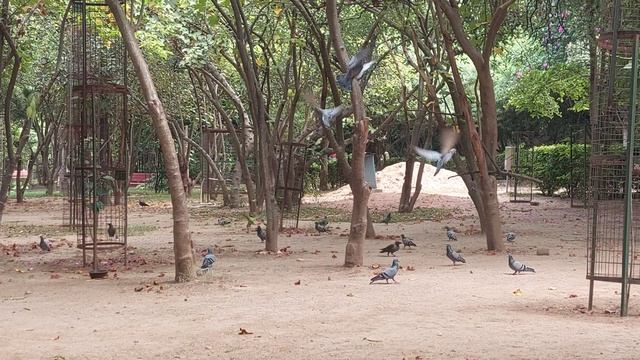 Настройка на сознание: как более эффективно работать с пациентом