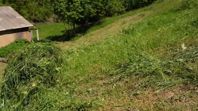 Деревенские рецепты 😋 Деревня Азербайджана Заготовка чеснока Шашлык из баранины и другие рецепты