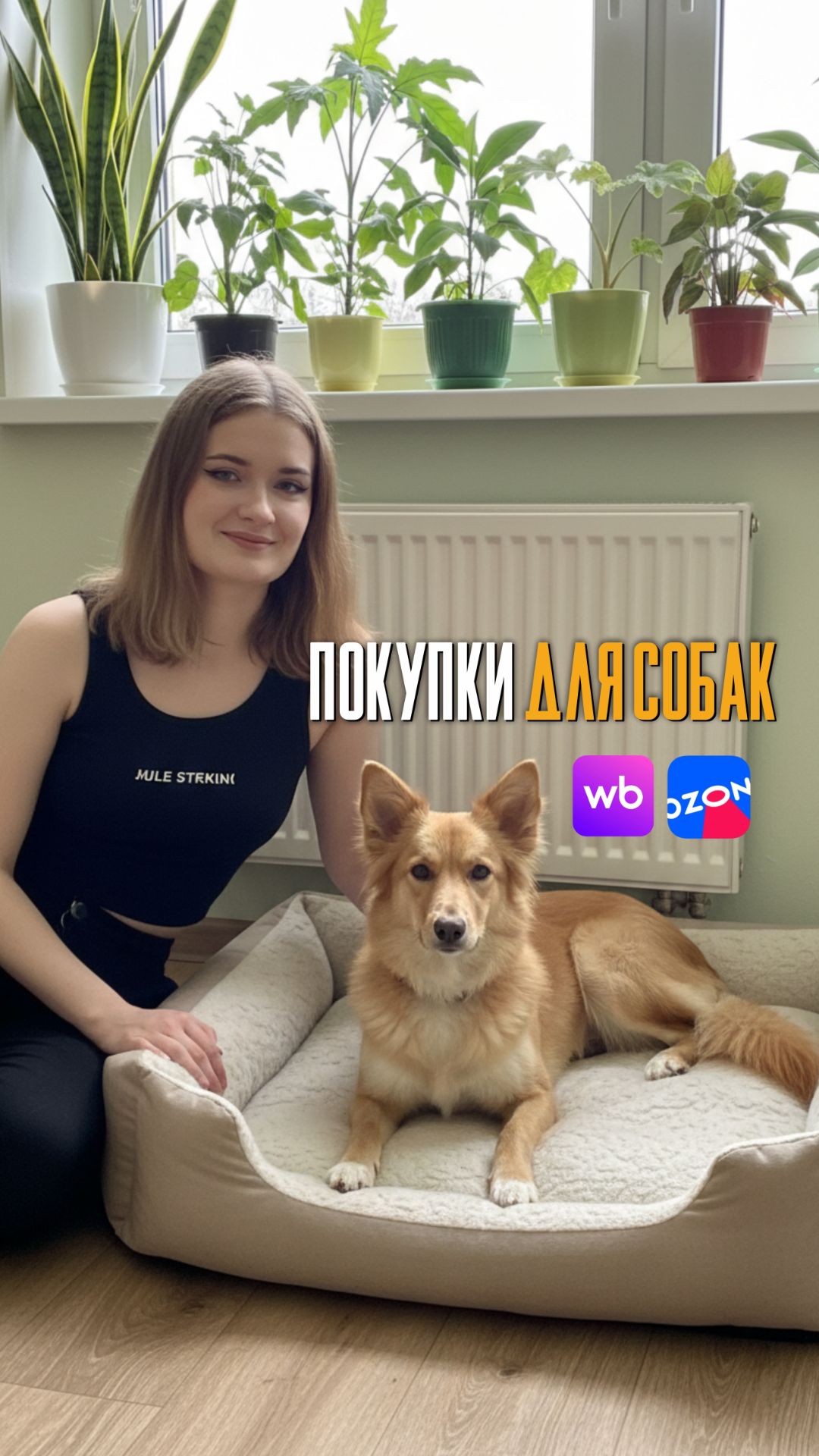 Покупки для собак