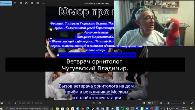 Юмор про птиц. Выпуски с 61 по 65-й.