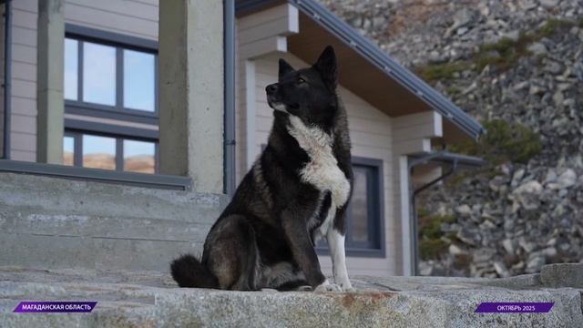 Информационные итоги недели Магаданской области 11 апреля 2026