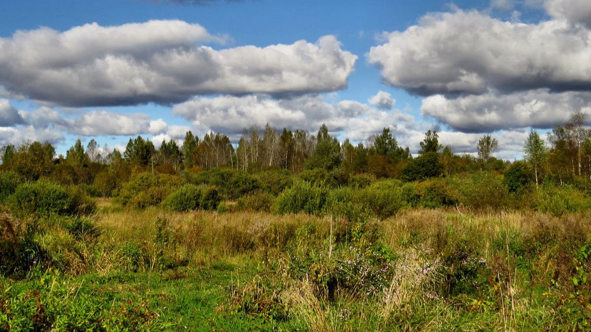 Прогулялся