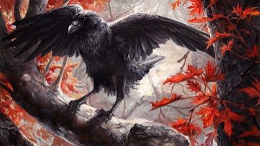 Песни на мои стихи - Одолень-трава...