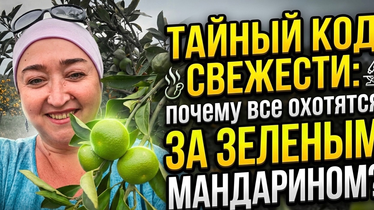 Тайный код свежести: почему все охотятся за зеленым мандарином?