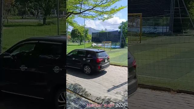 "Сладкий Обман: Кофе Лювак от Слонов и Опасные Подделки Вьетнама 🍬🚫"