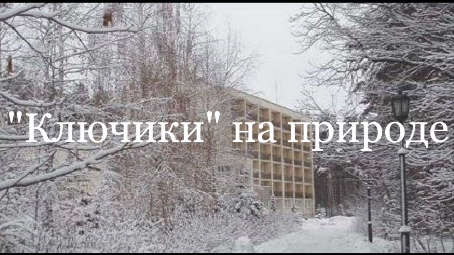 Ключики на природе