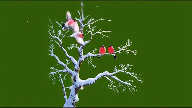 Снегири на дереве 2_encoded