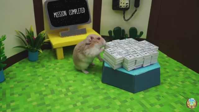 Посмотрите, как этот хомяк пробирается по Сложнейшему лабиринту! 1 серия