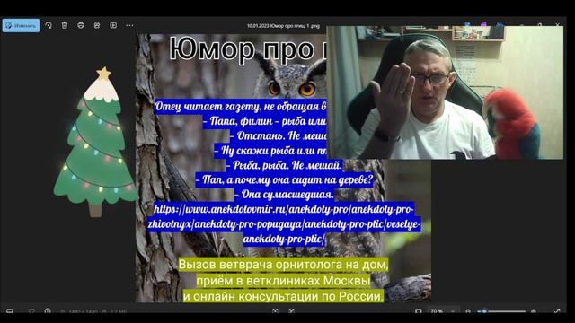 Юмор про птиц. Выпуски с 51 по 55-й.