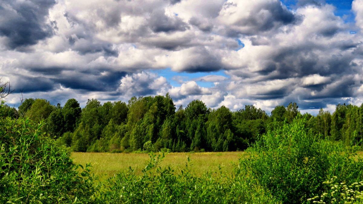 Пасмурно, но тепло ( Июль 2025 года )