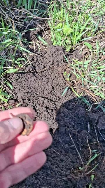 СЕРЕБРЯНЫЙ день сезона 2026!