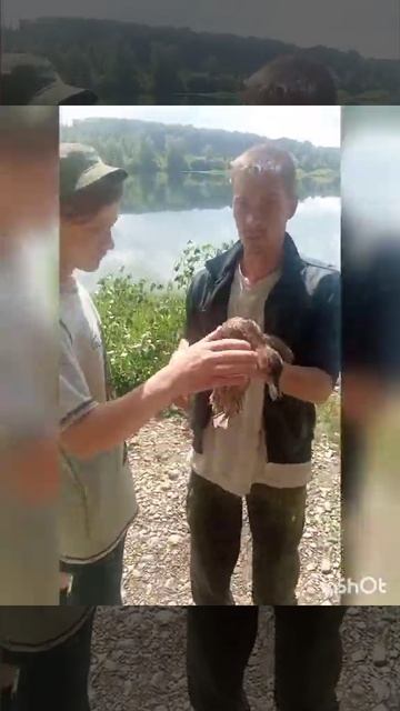 рыбалка на утку в новокузнецке ройон пятой фермы на реке Томь