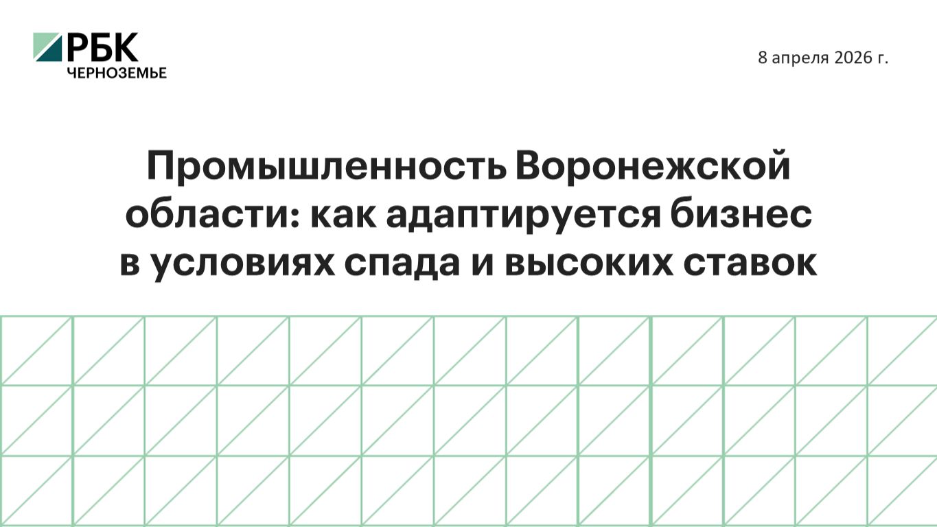 Промышленность Воронежской области: как адаптируется бизнес в условиях спада и высоких ставок