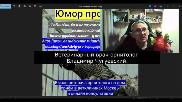 Юмор про птиц. Выпуски  с 71 по 75-й.