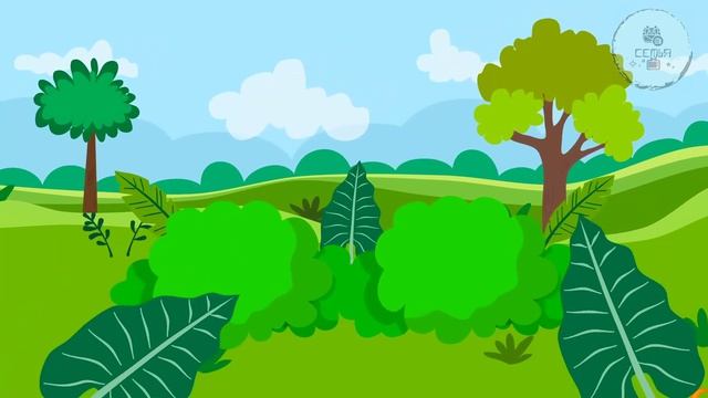 ПРЯТКИ  Автобус  Трактор и друзья  Развивающие  для малыша