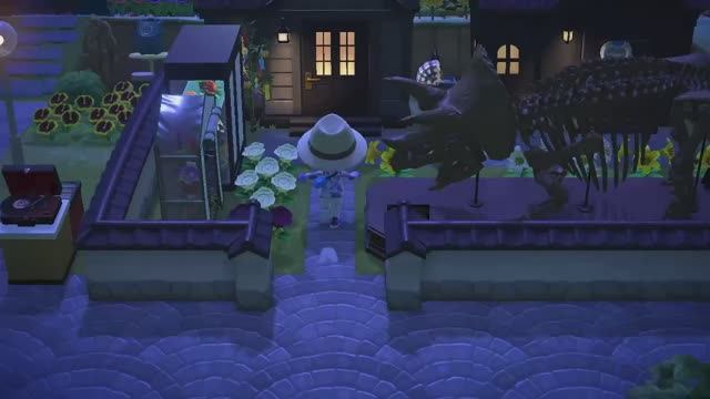 Роско спит стоя