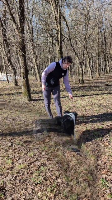 АО Барри - совместные движения