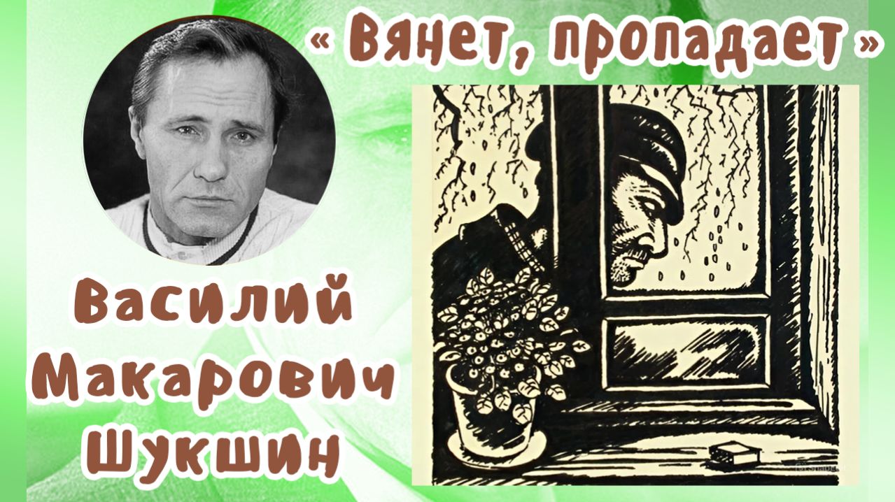Вянет, пропадает | Василий Макарович Шукшин