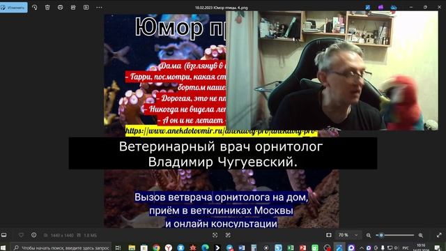 Юмор про птиц. Выспуски с 76 по 84-й.