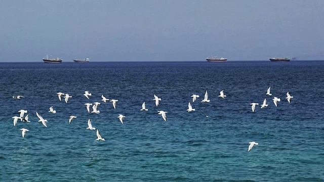 Настрой: Гироскоп - Вестибулярный аппарат сознания