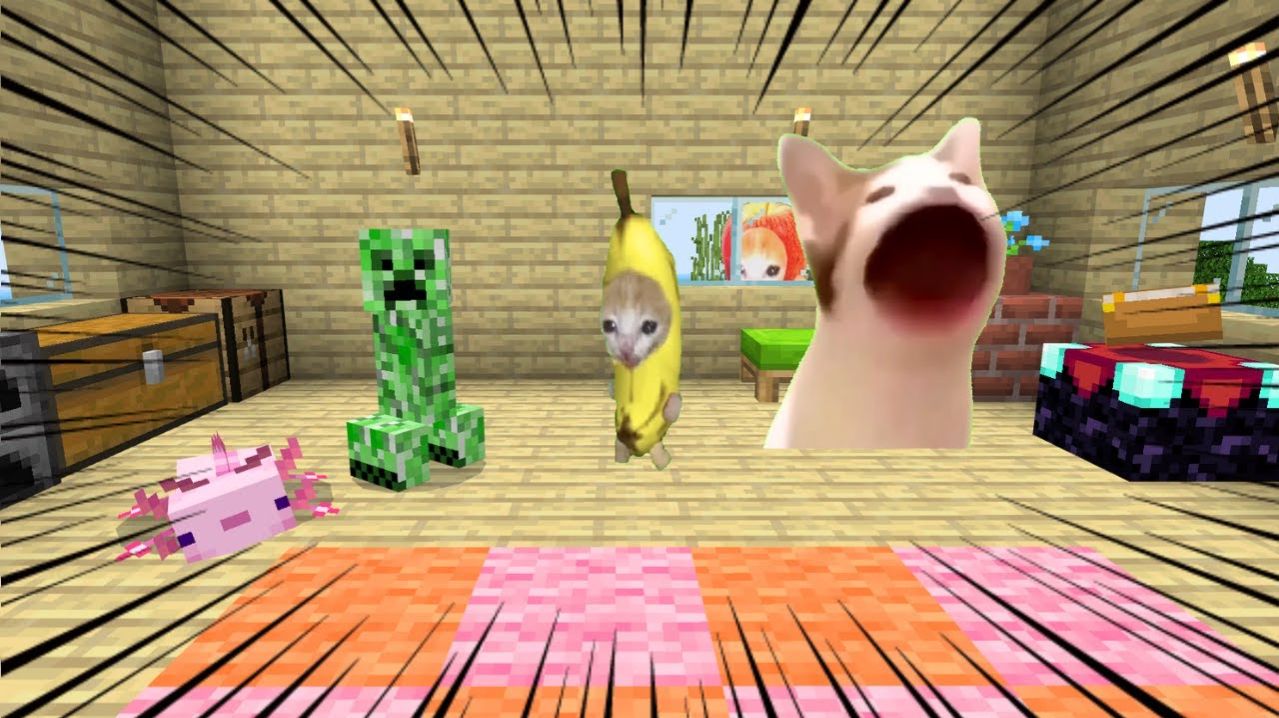 Банана кот пришел в Майнкрафт! мемы с котом. Мультики для детей. Яркие Мультики. Детские мультики