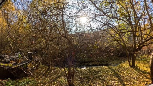 #ВДОВА# Интересная история из жизни