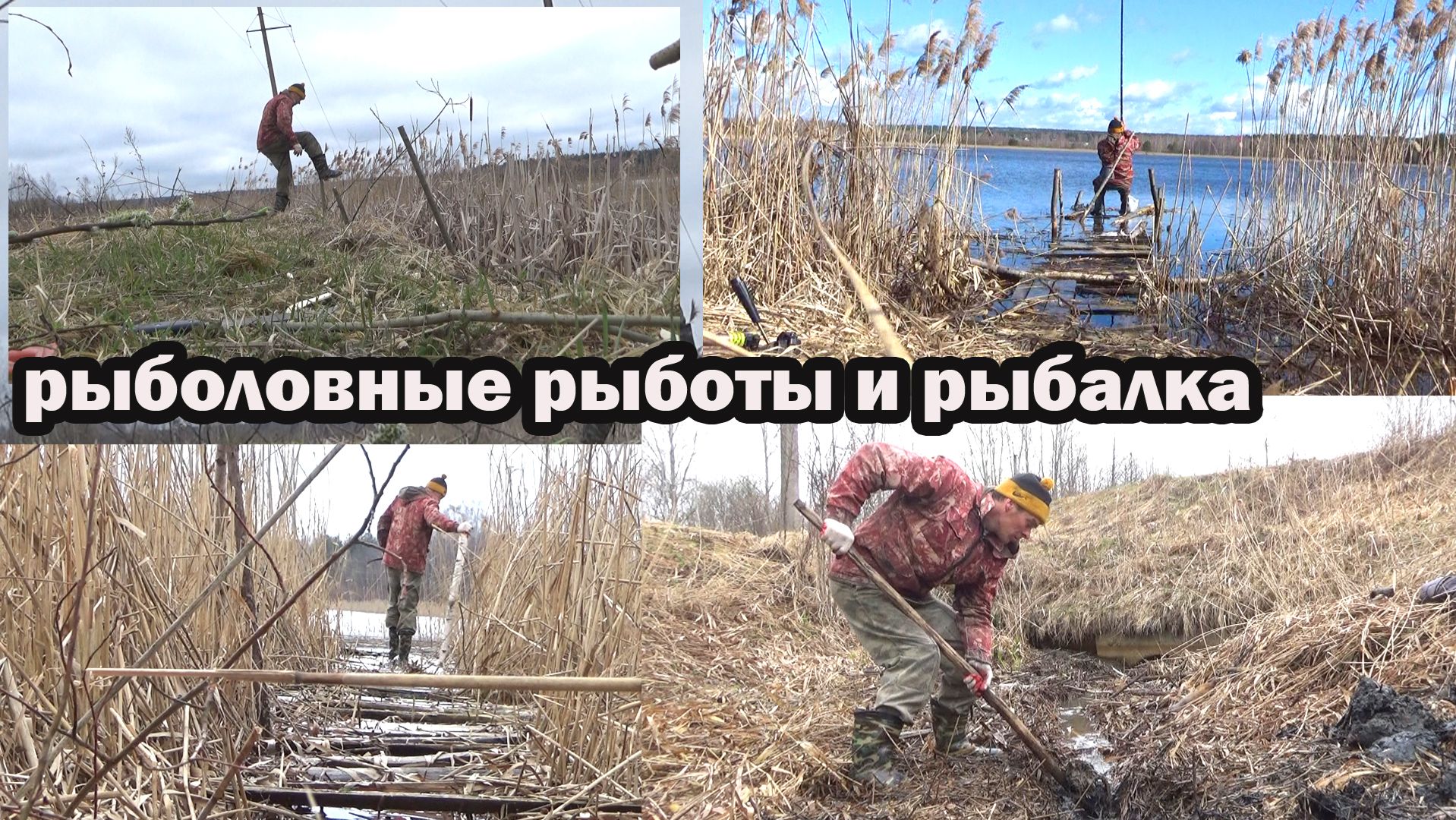Борьба с бобрами, как укрепить плотину, как ловить рыбу в тростнике и рыбалка в холод какая есть..