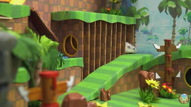 Посмотрите, как этот хомяк пробирается по Сложнейшему лабиринту! 3 серия