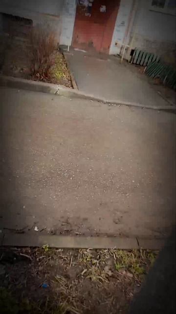 Род-влог 4
На меня напал зомби!