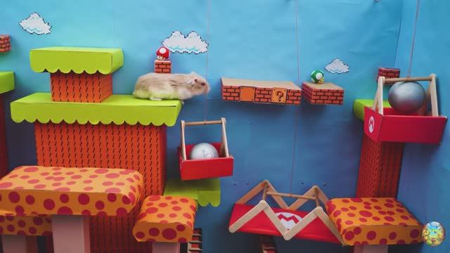 Умный хомяк преодолевает полезный и веселый лабиринт! 3 часть