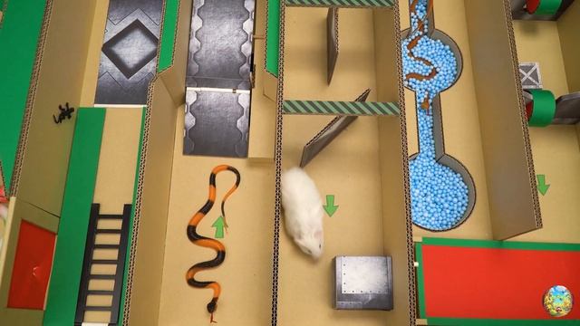 Умный хомяк преодолевает полезный и веселый лабиринт! 5 часть