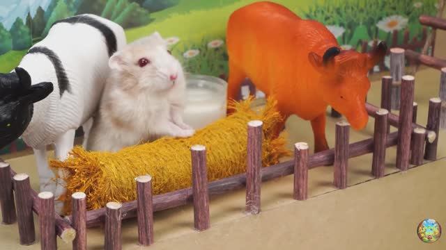 Умный хомяк преодолевает полезный и веселый лабиринт! 1 часть