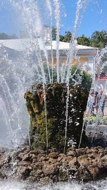 Петродворец. Монплезир. Фонтан Сноп.