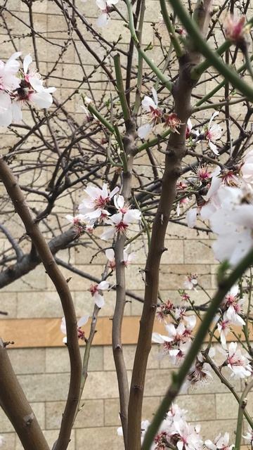 Все люди борются за справедливость