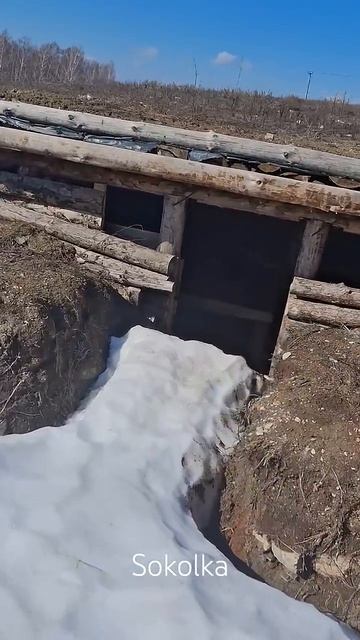 Апрель на Соколке_ история, которую не забыть 🕯️🌲