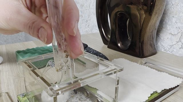 Жизнь муравьёв. 19 серия.