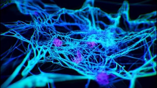 🔥💼  ЗАПУСК НЕДЕЛИ: Топ-хит, который включит режим «ГТО»! ⚡