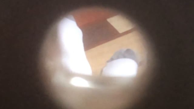 Как устроен телескоп из головки на 21