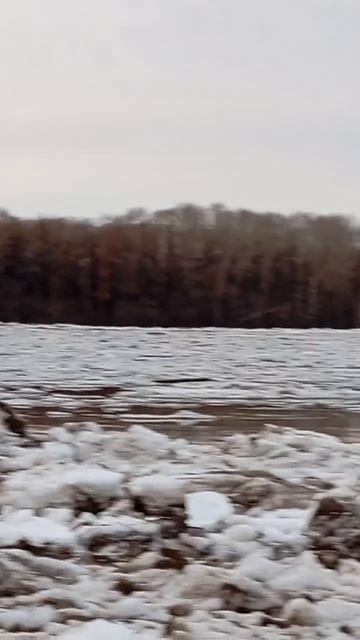 ЛЕДОХОД р.ОБЬ