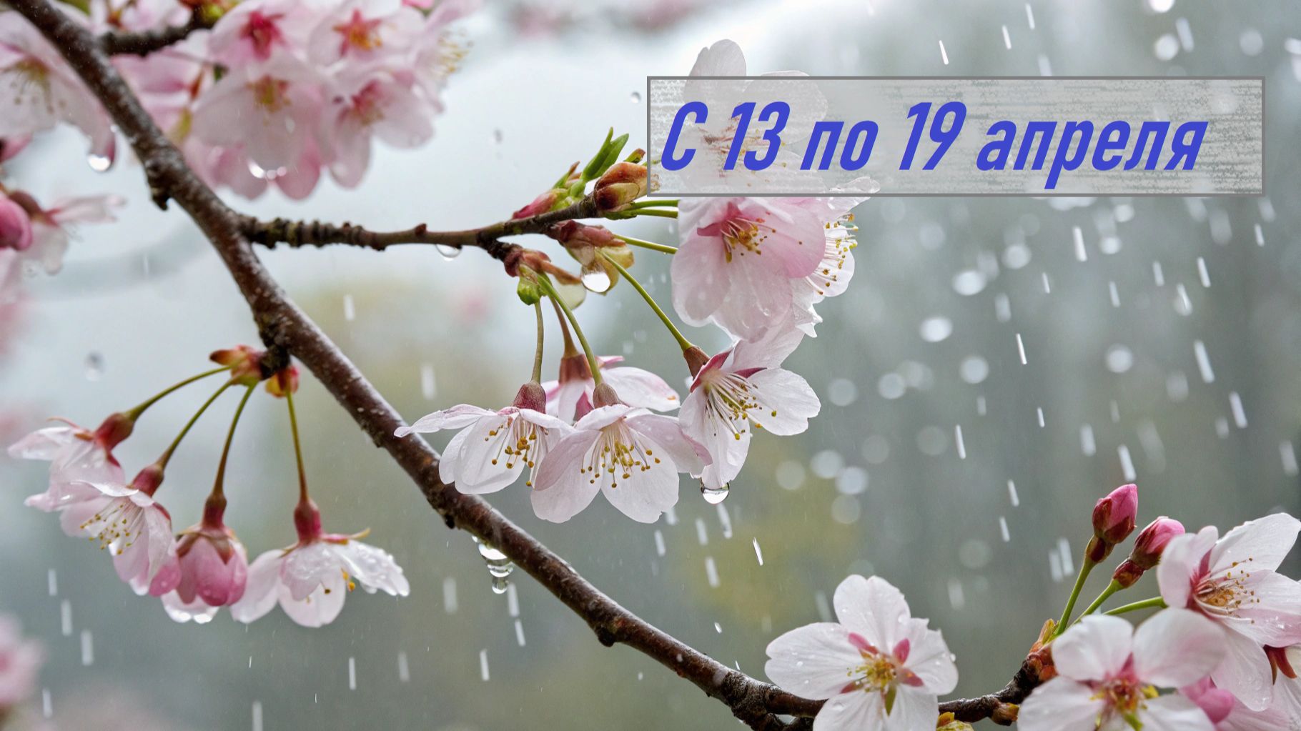 Прогноз с 13 по 19 апреля 26г