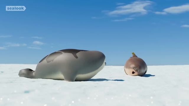 LOLㅣSEALOOKㅣEP.16