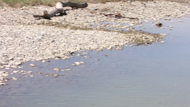 100_0013Апрель 2026 Набережная возле парка Невинномысск