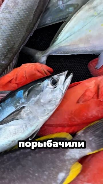 Немного половили на джиггинг в атолле
